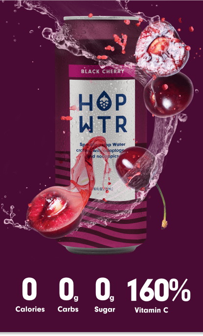 Black Cherry Hop Water (Non-Alcoholic) 12-Pack | HOP WTR